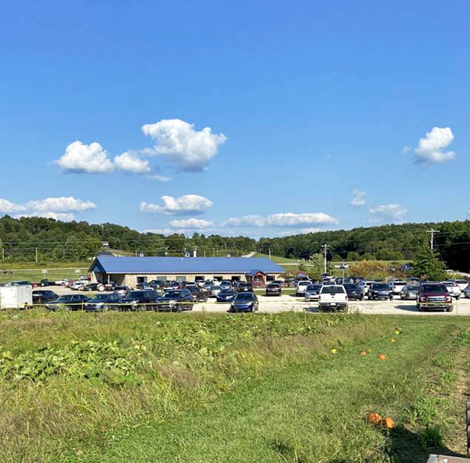 From this distance, you can almost hear the forks clinking against plates and the satisfied sighs of diners experiencing food that tastes like childhood.