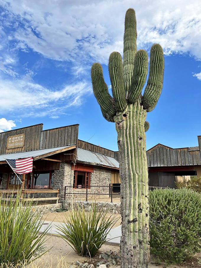 That saguaro cactus stands guard outside like a spiky ma&icirc;tre d', welcoming hungry visitors to this carnivore's paradise on the mountain.