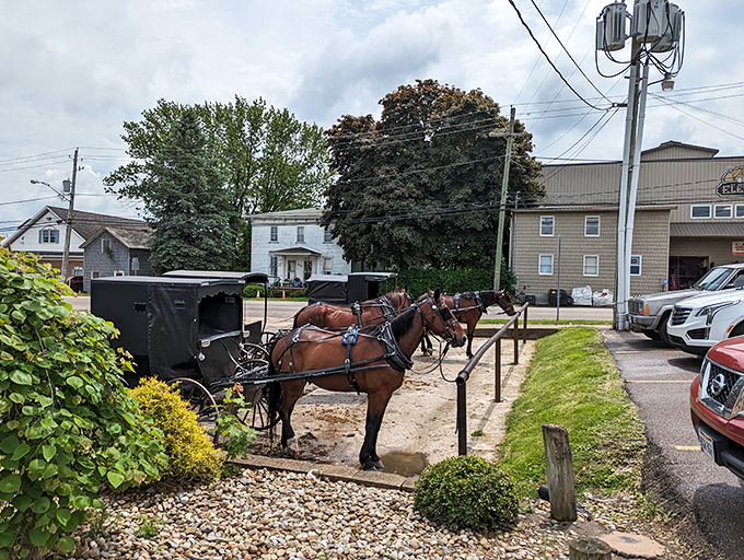 Amish buggies parked outside complete the experience &ndash; a reminder that some traditions are worth preserving, especially delicious ones.