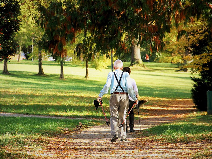 Autumn strolls through tree-lined paths&mdash;nature's reminder that the golden years can be exactly that: golden, vibrant, and full of beauty.