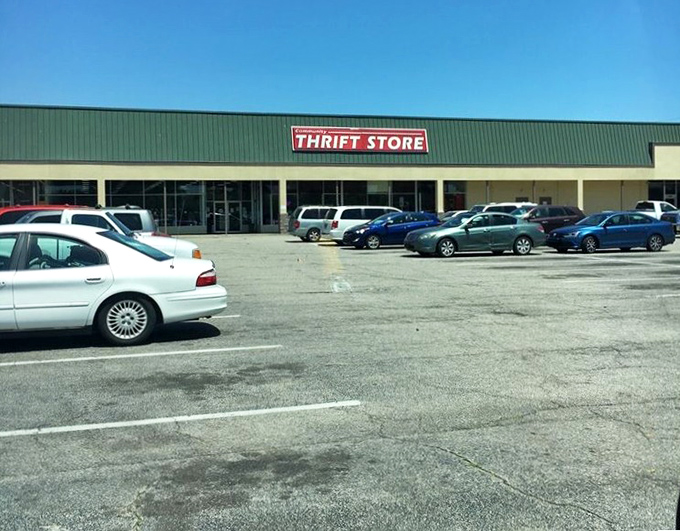The parking lot&mdash;first battlefield of the thrift store experience. Arrive early, park strategically, leave with car trunks heavier than your wallet.