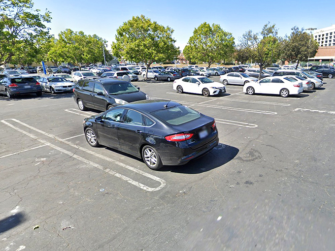 The calm before the shopping storm. This parking lot transforms from ordinary asphalt to extraordinary marketplace every Sunday morning like clockwork.