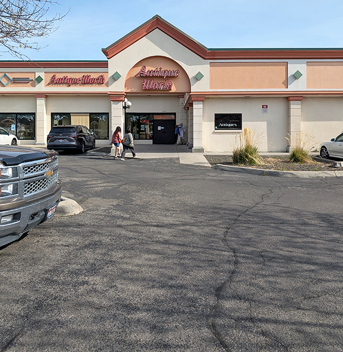 The parking lot might be ordinary, but what waits inside is extraordinary. Each car represents someone about to discover their next conversation piece.