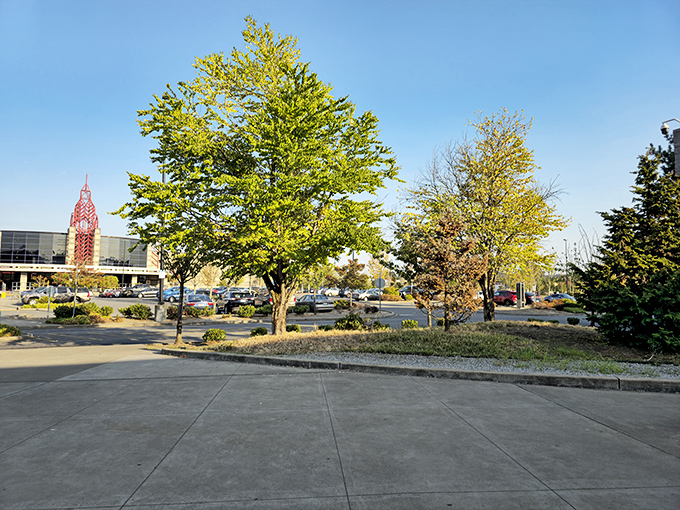 The outdoor view reveals the mall's natural setting. Those golden trees provide a moment of serenity before diving back into retail therapy.