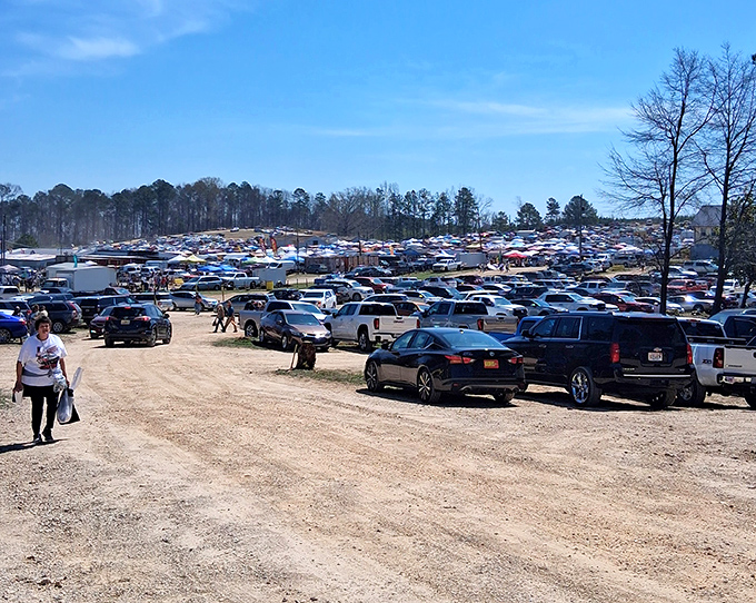The parking lot tells the true story of Mountain Top's popularity&mdash;a sea of vehicles from counties near and far, each representing a family's Sunday adventure.
