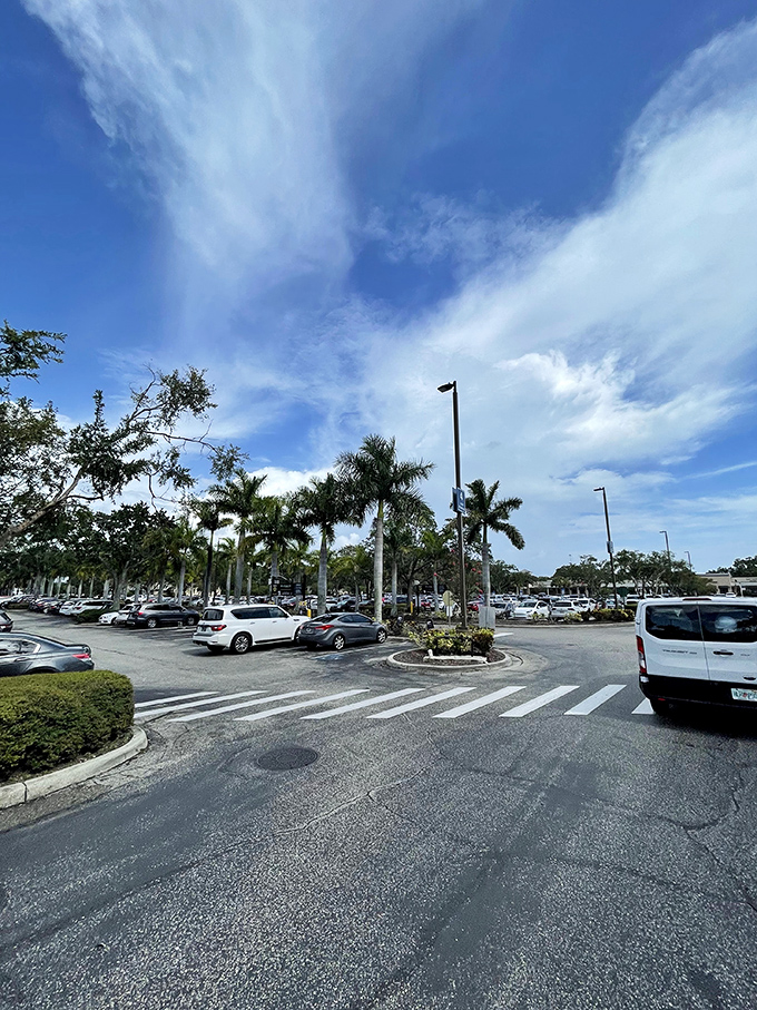 Palm-lined parking paradise stretches to the horizon. Remember your section number or prepare for a post-shopping scavenger hunt.
