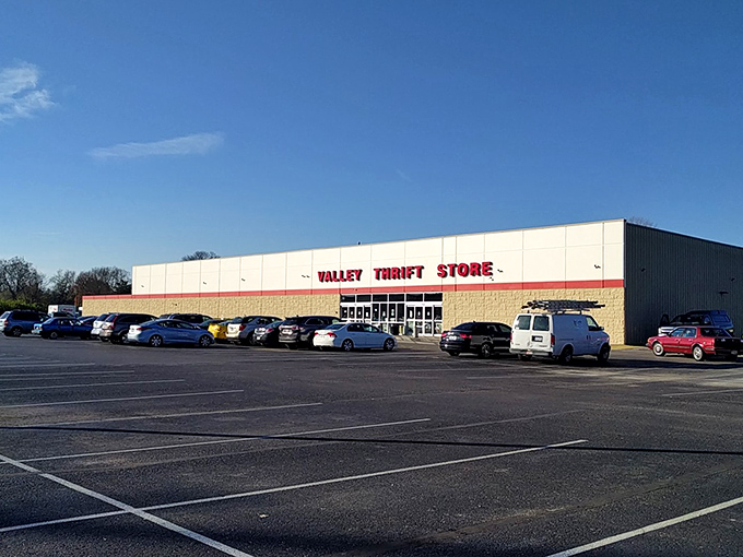 A packed parking lot on a sunny day&mdash;the universal signal that savvy shoppers have discovered where the good stuff hides.