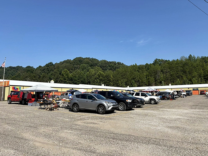 The market's expansive parking area fills with treasure seekers, each car representing someone's quest for that perfect undiscovered gem.