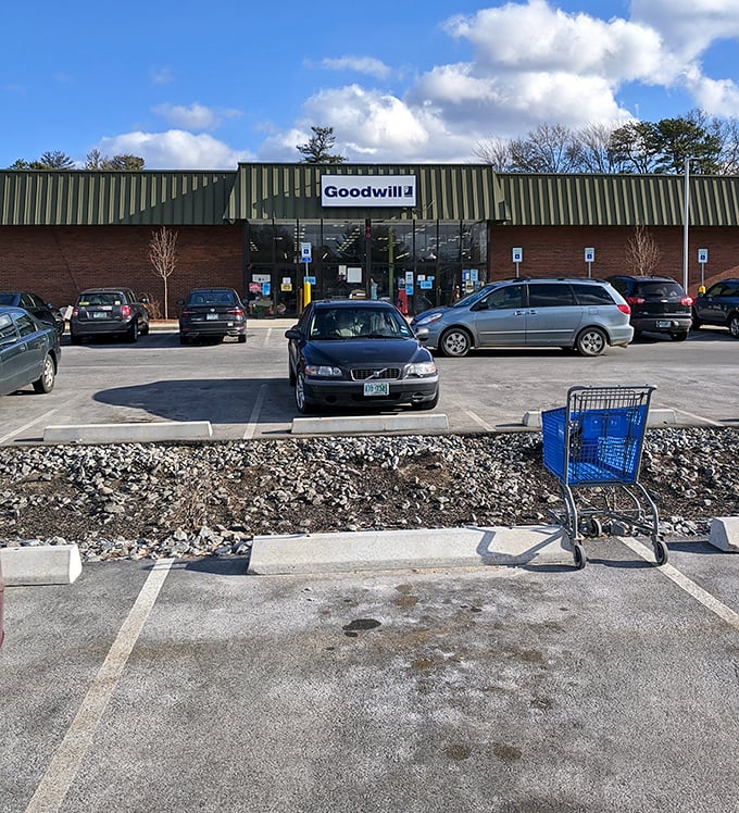 Even the parking lot speaks volumes&mdash;a lone shopping cart stands ready for filling with treasures, while sensible cars wait to transport newfound bargains home.