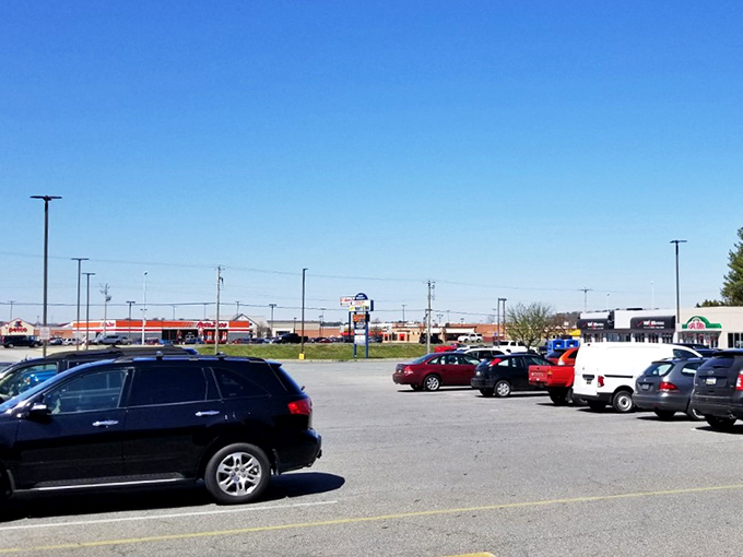 The parking lot—final resting place of empty wallets and staging area for "honey, look what I found!" phone calls.