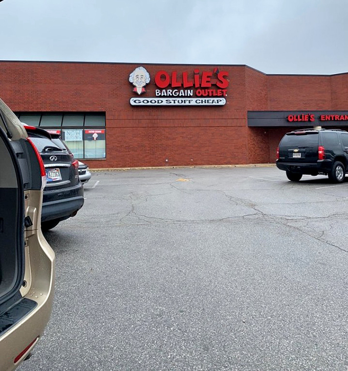 The parking lot view: where shoppers arrive with empty trunks and modest expectations, departing with both completely transformed.
