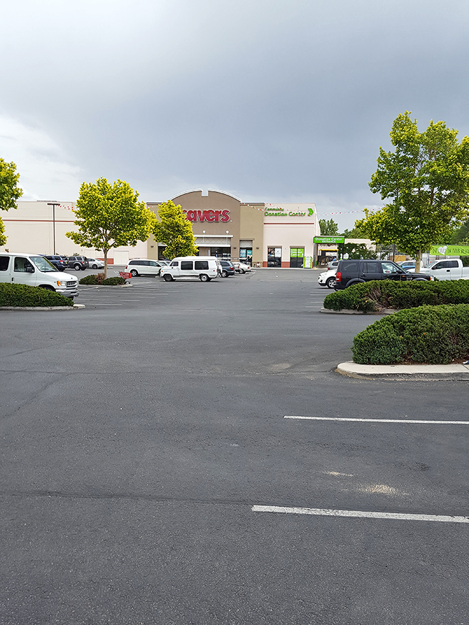 The Savers parking lot &ndash; where empty trunks arrive and full trunks depart, under New Mexico skies that have witnessed countless thrifting triumphs.
