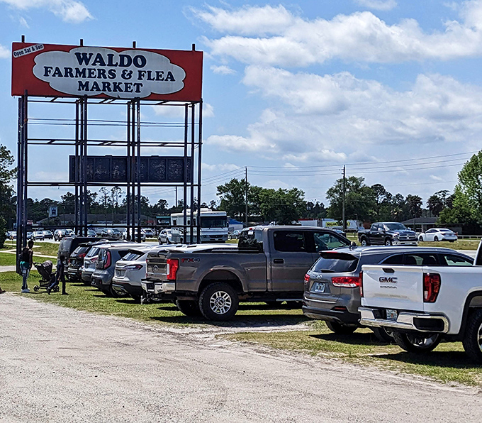 The parking lot tells the tale&mdash;trucks and SUVs lined up like eager shoppers themselves, ready to haul away the day's discoveries.
