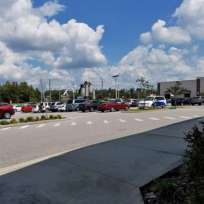 A packed parking lot tells the real story&mdash;this isn't just shopping, it's a community gathering spot where treasure hunters congregate under Florida's brilliant blue skies.