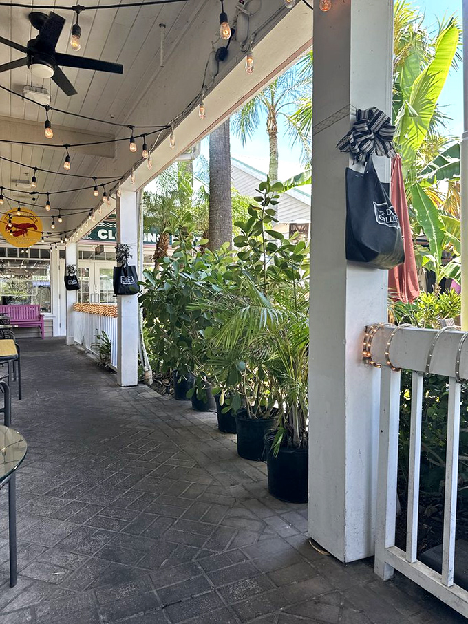 String lights and palm trees create the perfect Florida-meets-New England patio vibe &ndash; because chowder tastes better with a gentle breeze.