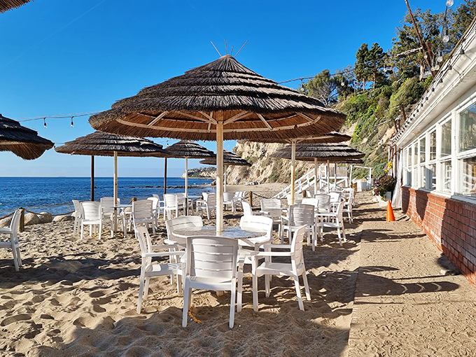 Beach dining that makes five-star restaurants jealous. With thatched umbrellas and ocean waves as your soundtrack, even a paper plate feels fancy.