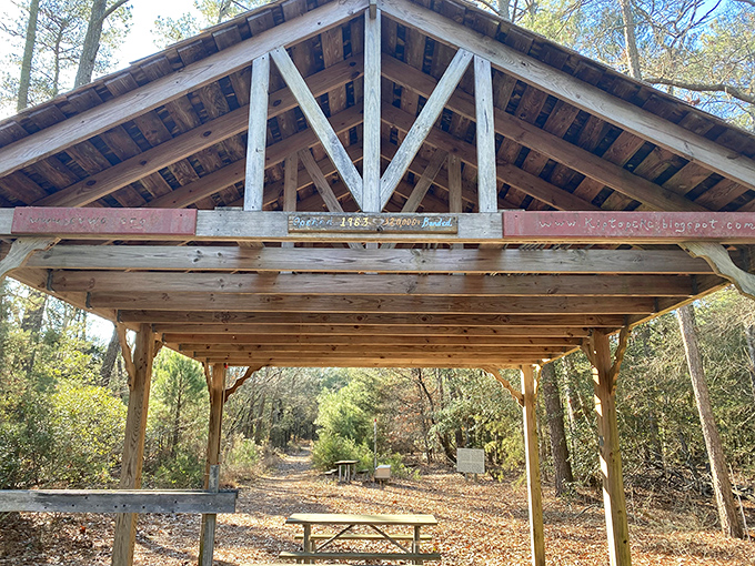 This rustic pavilion has witnessed countless family reunions, birthday celebrations, and impromptu dance parties when no one was looking.