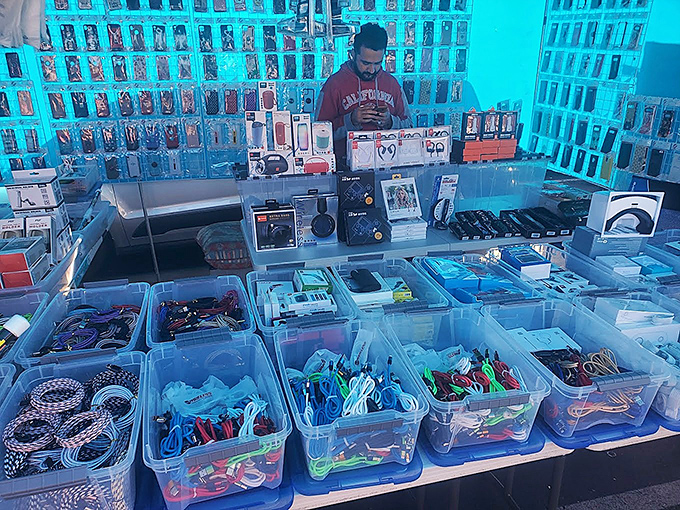 Cable organization nirvana! These bins of tech accessories could solve America's tangled drawer syndrome if only we'd all shop here.