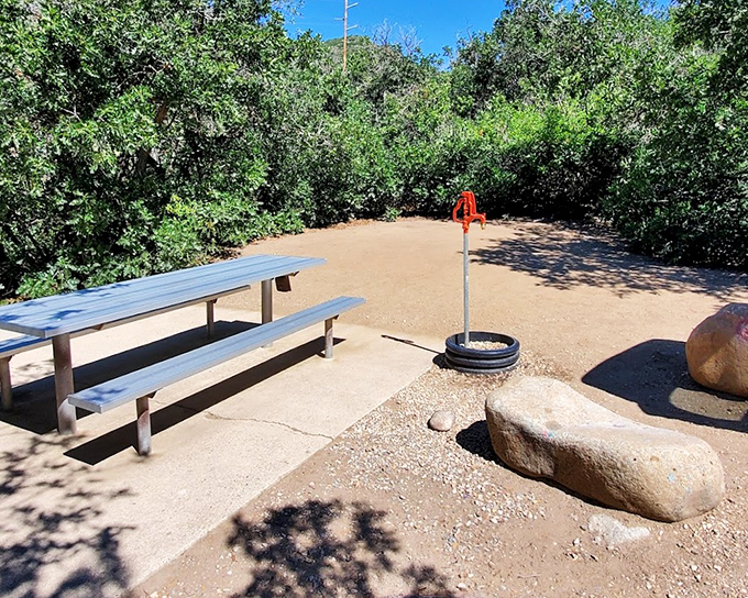 This shaded picnic area offers respite from summer heat &ndash; a simple wooden table that somehow serves up better meals than five-star restaurants.
