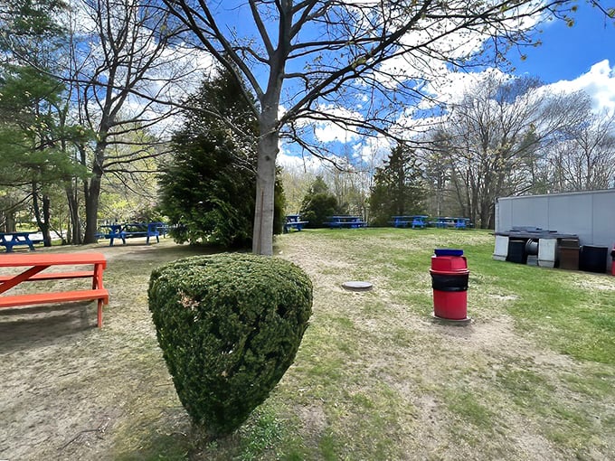 The picnic area behind Kay's provides a pastoral setting for seafood feasting. Those blue tables under the trees have heard more declarations of food love than a culinary confessional.