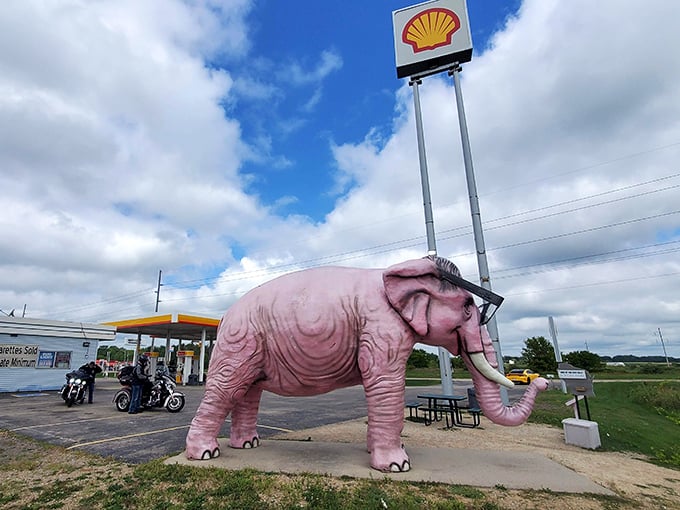 The perfect storm of Americana: Shell station, picnic table, and a pink elephant wearing glasses. Road trip bingo winners rejoice!