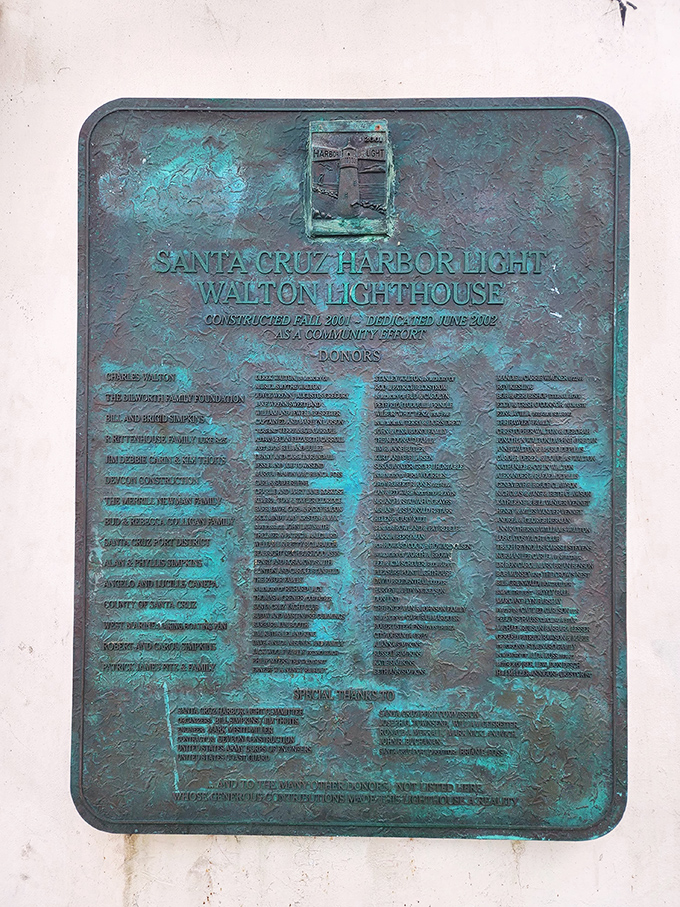 When coastal California decides to show off, it delivers scenes that make postcards look like they're not even trying hard enough.