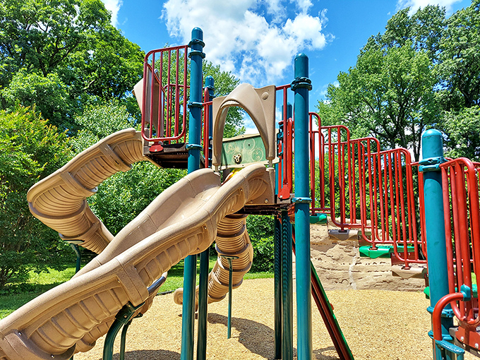 This playground proves that childhood joy never needed batteries—just slides, climbing structures, and the sound of parental sighs of relief.