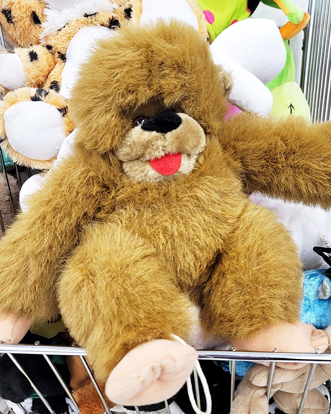 This teddy bear has seen things, but he's ready for a second chance at being someone's beloved companion &ndash; plush resurrection at its finest.