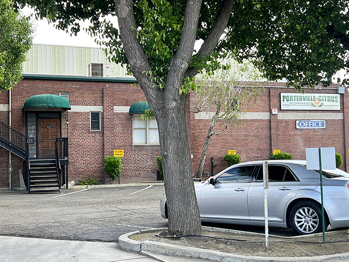 Porterville Citrus Association stands as a brick-and-mortar reminder that before smartphones and social media, oranges were California's most famous export.