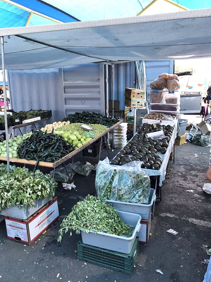 Farm-fresh bounty that puts supermarket produce to shame. These avocados and chiles didn't travel further than you did to get here.