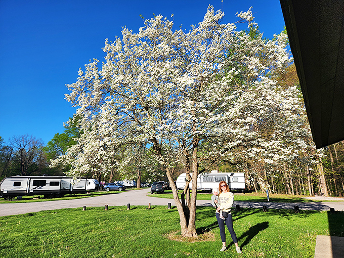 Spring transforms the campground into a flowering paradise, where RVs gather beneath dogwood blossoms like modern-day covered wagons.
