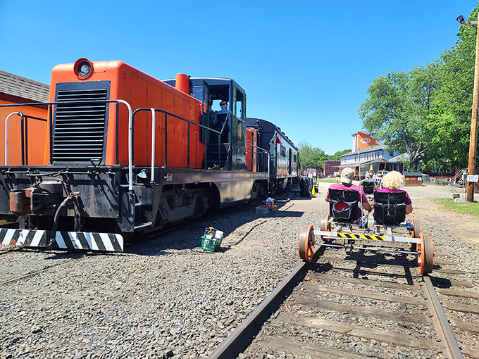 Innovation meets recreation with these railbikes. Pedal power gets a historic twist as adventurous visitors explore the tracks from a whole new perspective.