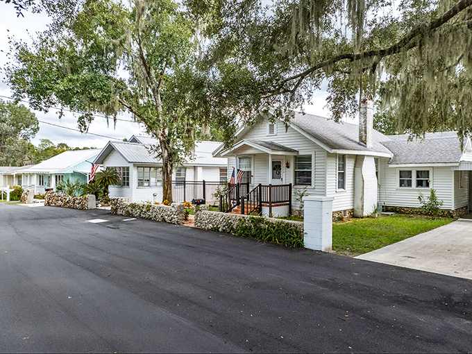 These charming ranch homes represent the Florida dream before high-rises took over—single-story living where the only thing towering is the Spanish moss.
