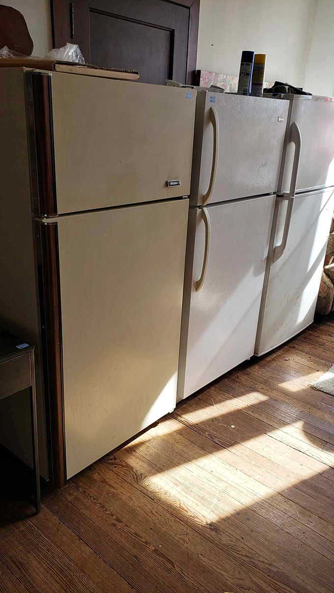 The refrigerator lineup stands at attention, ready for second careers keeping leftovers cold in new homes.