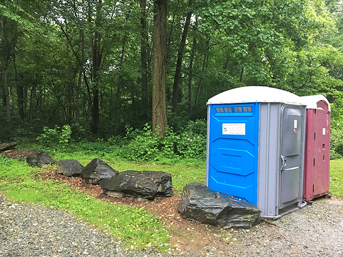 The least glamorous but most necessary amenity in paradise. Because even in nature's cathedral, humans need practical solutions.