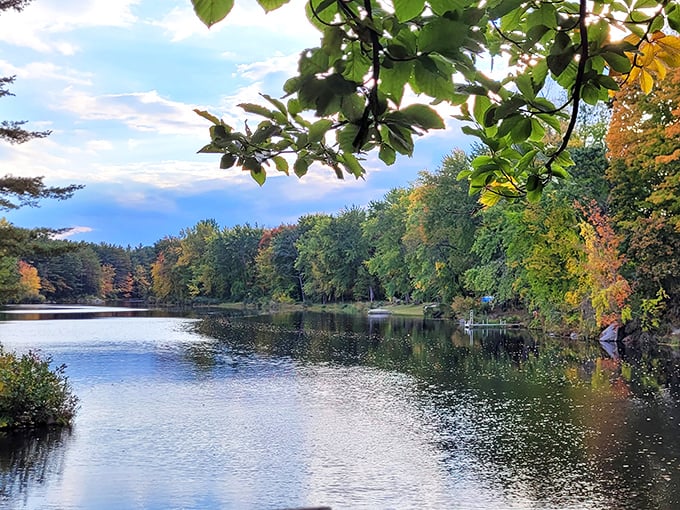 Riverside Park's autumn display reminds us that nature's most spectacular shows remain absolutely free, even in retirement's careful budgeting.