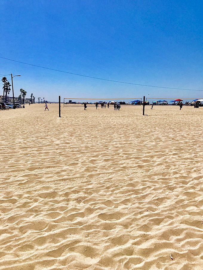 Beach volleyball nets stand ready on pristine sand, waiting for players to create those quintessential California moments that never go out of style.