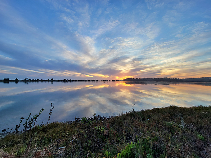 Sunset over Bolinas Lagoon paints the sky in colors no filter could improve – a daily masterpiece that never gets old.