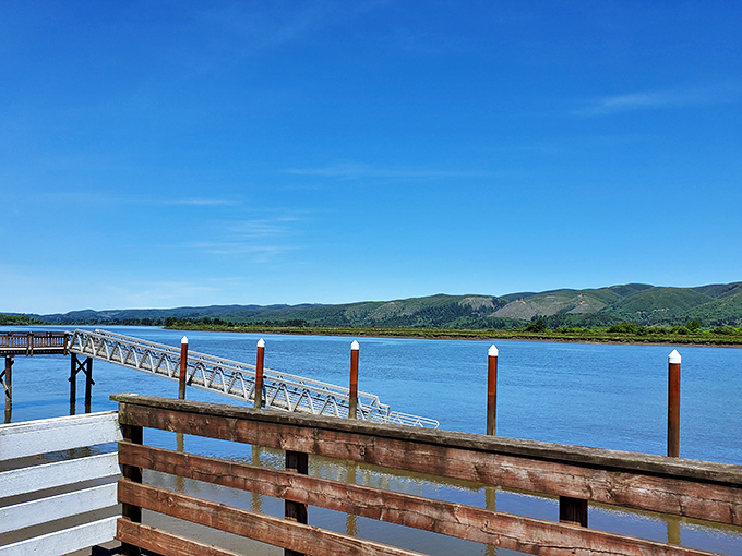 The dock stretches into Willapa Bay, offering postcard-worthy views that prove South Bend's natural beauty rivals its monuments.