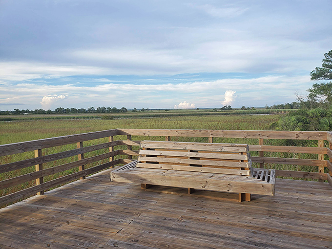 This simple bench overlooking the marsh offers nature's therapy session—no appointment necessary, just bring your thoughts and stay awhile.