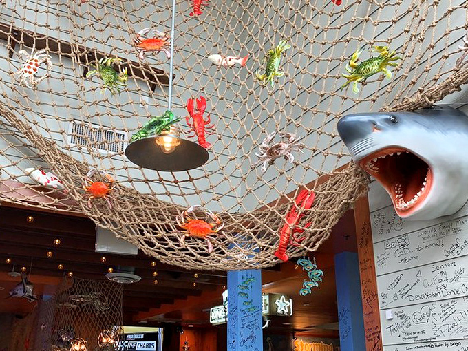 Look up and you'll find fishing nets capturing not just decorative sea creatures, but the coastal atmosphere that makes landlocked diners forget they're in Tennessee.
