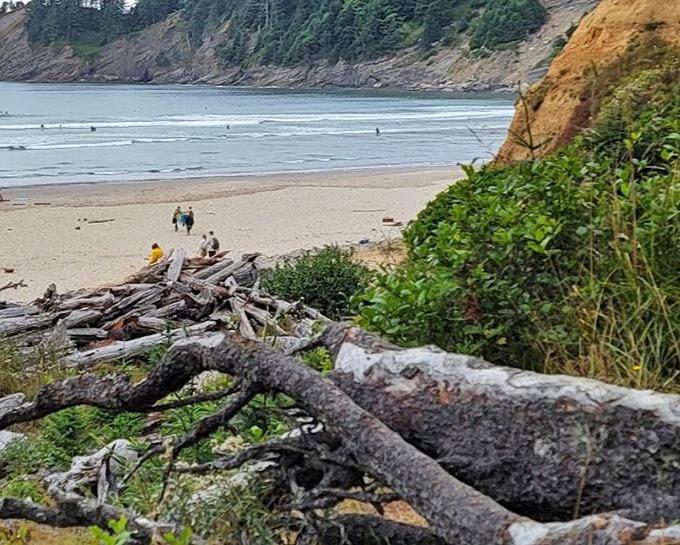 Driftwood-dotted shores and surfers in the distance&mdash;Short Sand Beach offers Oregon's coastal magic without the crowds.