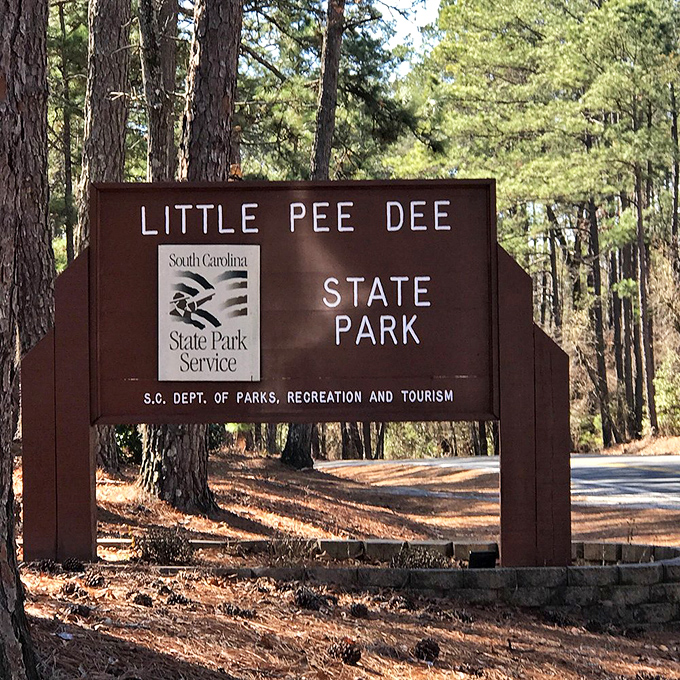 The park's trails offer a cathedral of pines, where sunlight filters through branches creating nature's own stained glass effect.