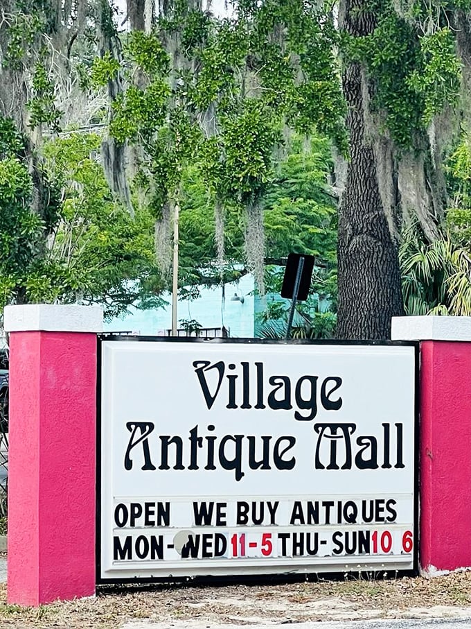 The sign that promises treasure hunting six days a week. Like a pink-framed invitation to step back in time, Spanish moss included.