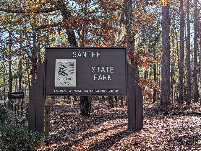 The park entrance sign stands as a humble gatekeeper to natural wonders that far exceed its modest wooden frame.