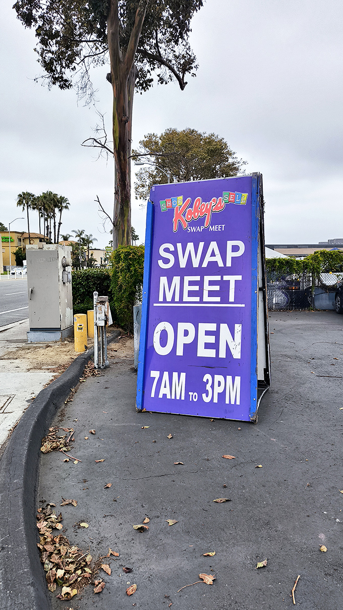 Palm trees frame the purple roadside sign announcing "SWAP MEET OPEN," a beacon for early-morning bargain hunters heading to this San Diego institution.