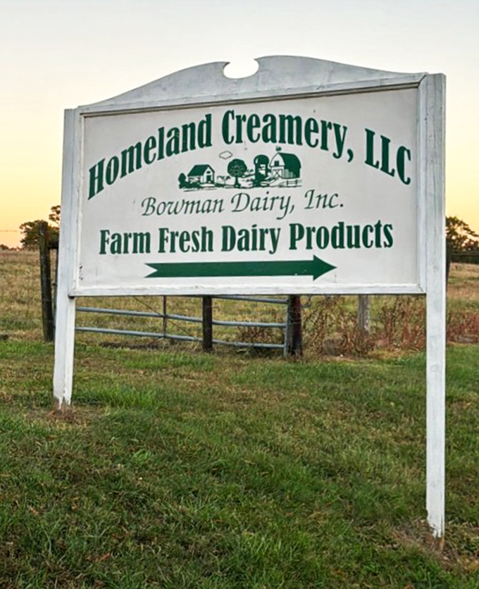 The roadside sign stands as a beacon of hope for dairy lovers everywhere, pointing the way to creamy salvation just around the corner.