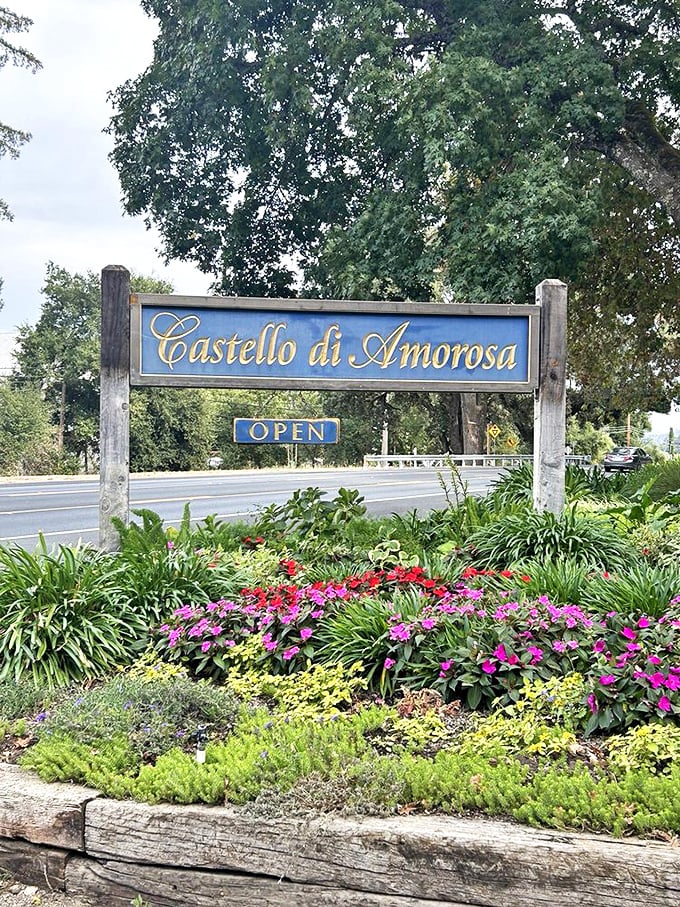 This sign announces you've arrived at California's most committed answer to "What should we do with this land?"