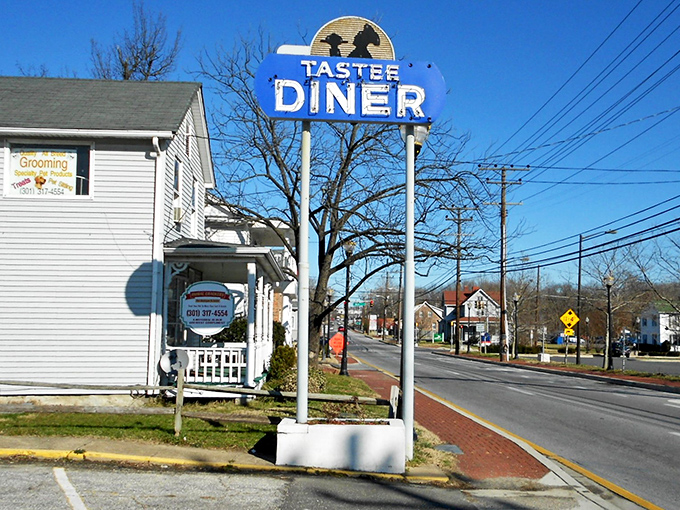 The iconic Tastee Diner sign has guided hungry Marylanders home like a blue-and-white lighthouse on a sea of chain restaurants and fast food.
