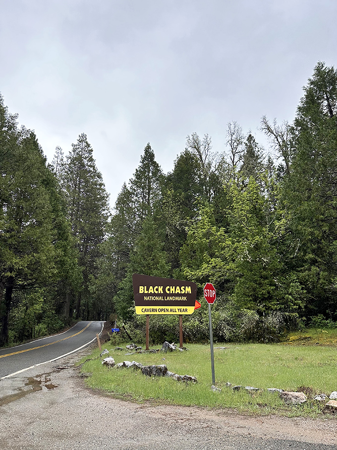 The road less traveled leads to underground wonders. This unassuming sign marks the turnoff to one of California's most spectacular hidden gems.